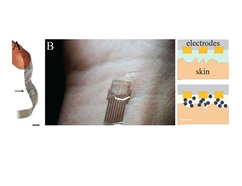 MCP IMAGE EurekAlert Science News Releases