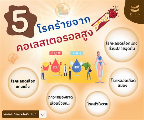 5 โรคร้ายจากคอเลสเตอรอลสูง