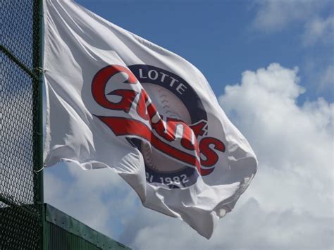 부활 롯데자이언츠 비상비상 아님 날아오름임 야구 에펨코리아