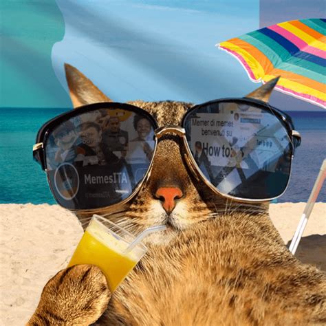 Nuovo Video R Tearlessraptor