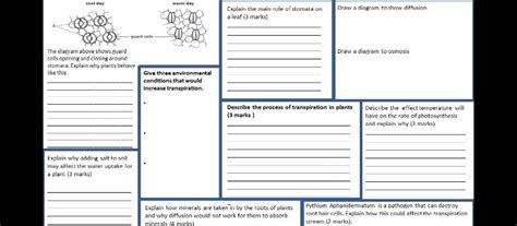 Cb6 Plants Revision Mat Teaching Resources