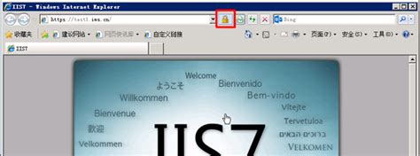 Windows Ssl Wizard Instruction Wosign Ssl Certificates