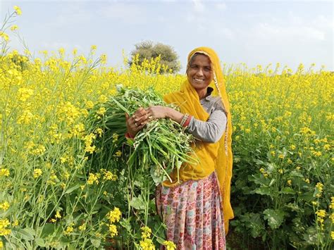 Baif Home Baif Development Research Foundation