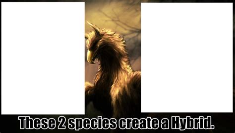 Hybrid Template By Mask Of Vice On Deviantart