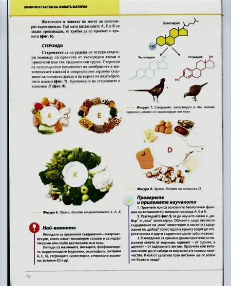 Medicina Rentgenologiq Мамография на млечната жлеза ацияКонтакти Категории Профилактика и