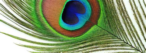 Downloads And Support InkTec Videos Archive Inktec Europe