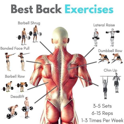How To Do Best Back Exercises Rhowto