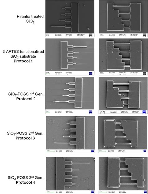 Selective Detection Of Female Sex Pheromone Of Helicoverpa Armigera By