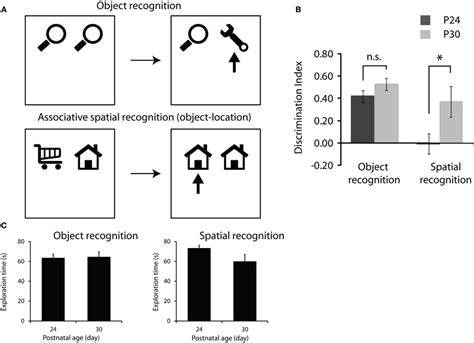 Frontiers Ontogeny Of Neural Circuits Underlying Spatial Memory In