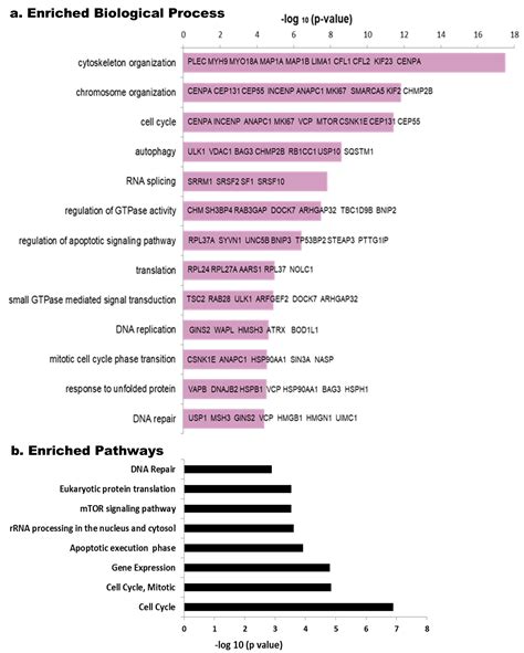 Proteomics And Phospho Proteomics Profiling Of The Co Formulation Of Type I And Ii Interferons