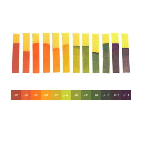 Universal Indicator Paper Color Chart My XXX Hot Girl