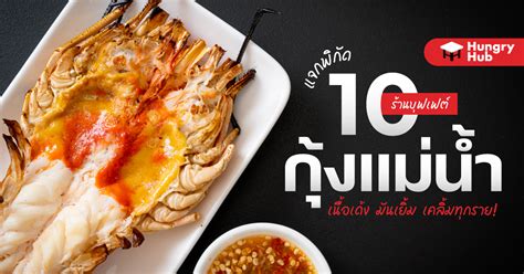 แจกพิกัด 10 ร้านบุฟเฟ่ต์กุ้งแม่น้ำ เนื้อเด้ง มันเยิ้ม เคลิ้มทุกราย Hungry Hub Blog