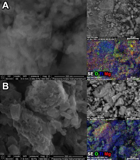 Sem Micrographs Magnification 500 000× And Sem Eds Elemental Maps Download Scientific Diagram