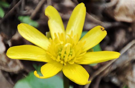 Погода у Полтаві наступного тижня очікуються дощі Полтавщина