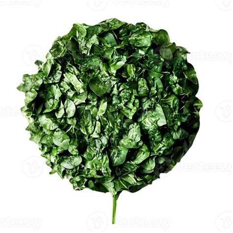 Close Up Fresh Spinach Leaves In Circle Shape On Black Background 58263178 Png
