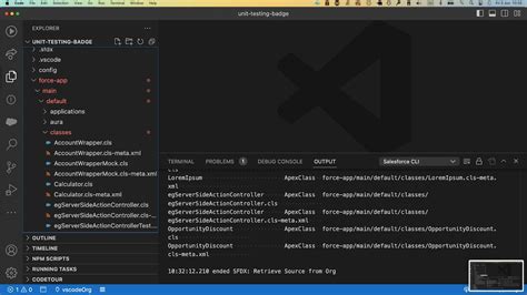 Write Positive Tests Unit Salesforce Trailhead