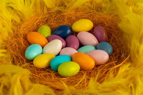 행복한 부활절 꽃으로 장식 된 노란색 배경에 색칠된 달걀 둥지 그림이있는 부활절 카드 0명에 대한 스톡 사진 및 기타 이미지 0명 4월 개념 Istock