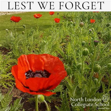 Neil Clench Posted On Linkedin