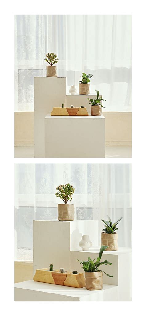 세라믹 크라프트 화분 식물 세트4types식물화분스톤받침 감도 깊은 취향 셀렉트샵 29cm