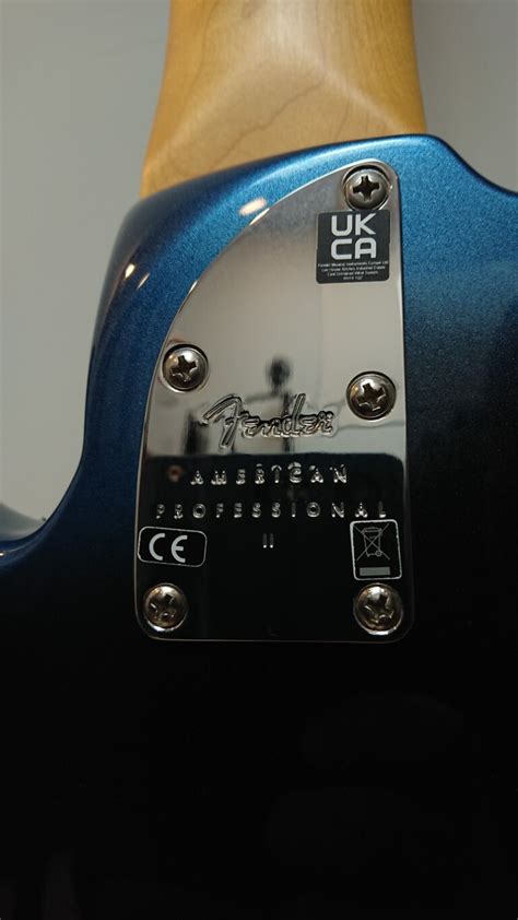 Fender American Professional Precision Bass Review Iahpb