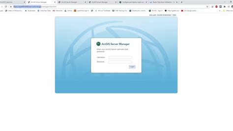 Configuring An Arcgis Image Server And Raster Analytics Server With Your