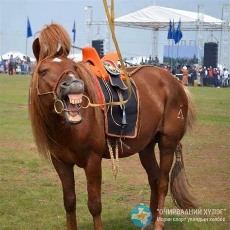 ОЧИРВААНИЙ ХҮЛЭГ МСУХолбоо Ардын хувьсгалын 90 жилийн ойд эхний аравт хурдалсан азарганууд