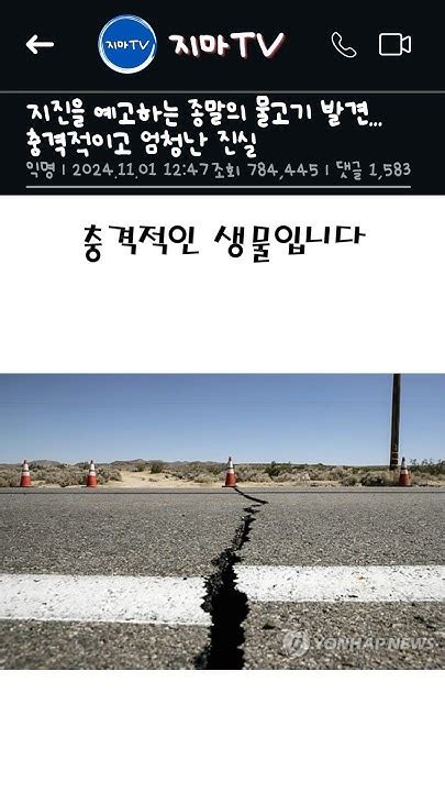 종말의 물고기 발견 충격적이고 엄청난 진실 Youtube