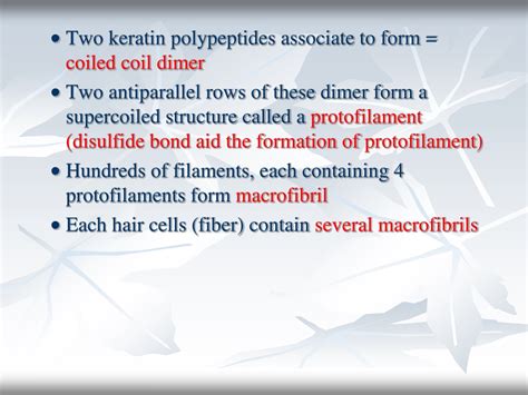 Ppt Protein Structure And Function Powerpoint Presentation Free
