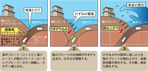 津波の正しい知識田原市