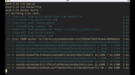 hello world python and docker youtube