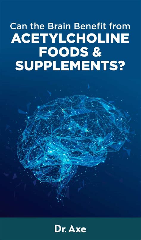 Acetylcholine Function Benefits Dosage And Side Effects Dr Axe