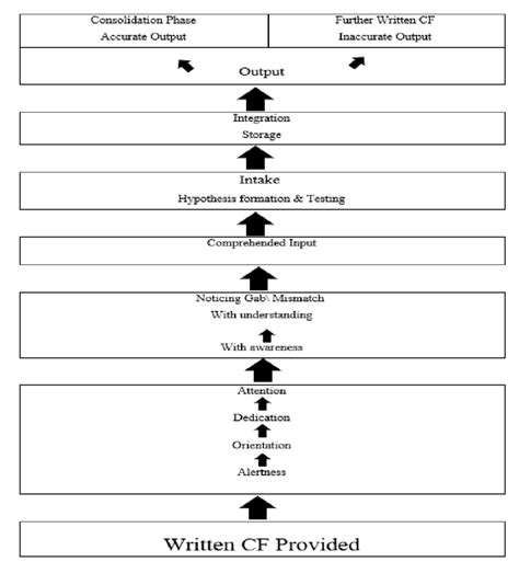 stages in the cognitive processing of corrective feedback input by gass