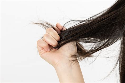 살 빼려고 ‘이것 섭취 안 하다간… 머리카락 푸석해져 당신의 건강가이드 헬스조선