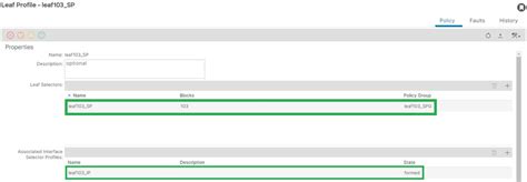 주소 Aci 결함 코드 F0467 문제 해결 Invalid Vlan Invalid Path Encap Already In