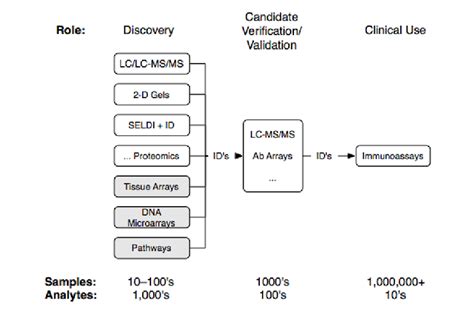 Schematic Diagram Of A Three Stage Diagnostic Pipeline Exploiting Download Scientific Diagram