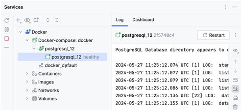 Run The Postgresql Sakila Database In A Docker Container Datagrip