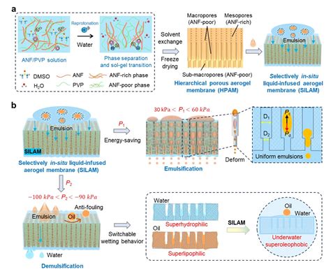 Liquid Infused Aerogel Membranes With Reverse Functions Enable On Demand Emulsification And