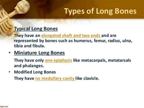Solution 8 Classification Of Bones Studypool