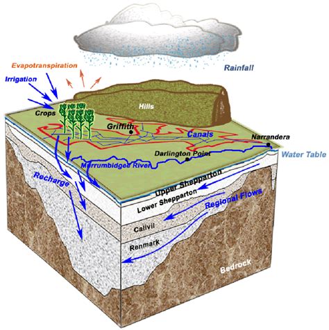 Schematic Of The Conceptual Model Illustrating The Hydrological