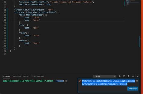 Error When Using Custom Profile With String Arg On Linux Issue