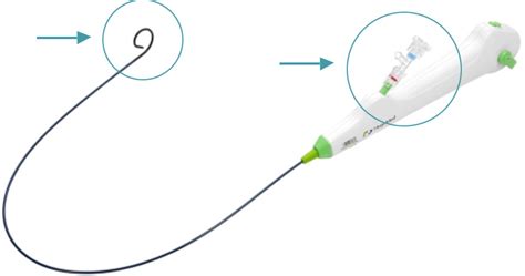 Flexible Endoscopes