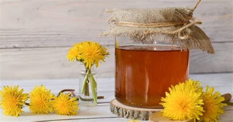 Cómo Preparar La Infusión De Diente De León La Planta Que Limpia El