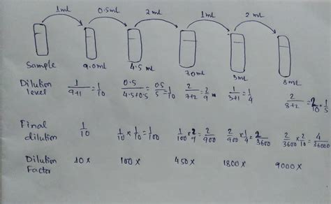 Solved Give The Dilution Level And Final Dilution Of A Broth Culture