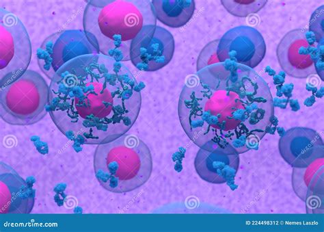 Normal B Cell Emitting Antibody 3d Illustration Stock Illustration
