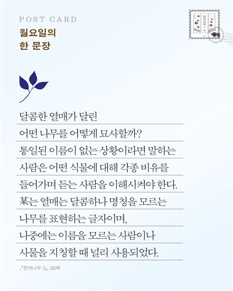 교유서가 월요일의한문장 🌲 달콤한 열매가 달린 어떤 나무를 어떻게 묘사할까 통일된 이름이 없는 상황이라면 말하는