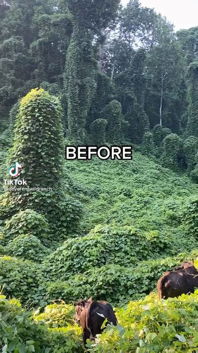 Tim Eyrich Posted On Linkedin