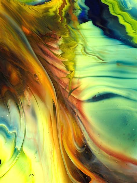 Ladybug Glass Studio Ladybug Glass Studio And Gallery