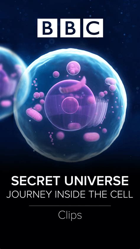 Cellular Structure And Function Clickview