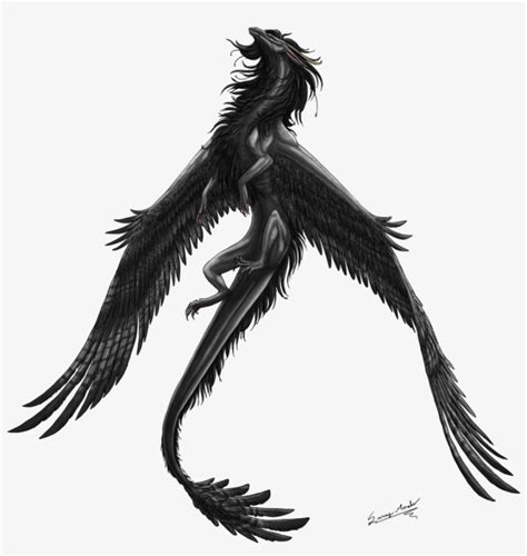 Feathered Mist By Sunimo D4t0gk8 Dragon With Feather Wings