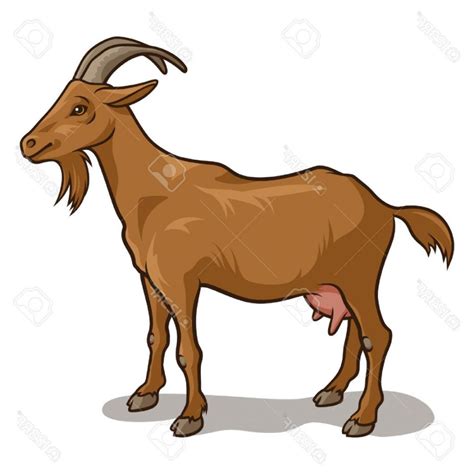 List 104 Pictures 1 2 Man 1 2 Goat Completed